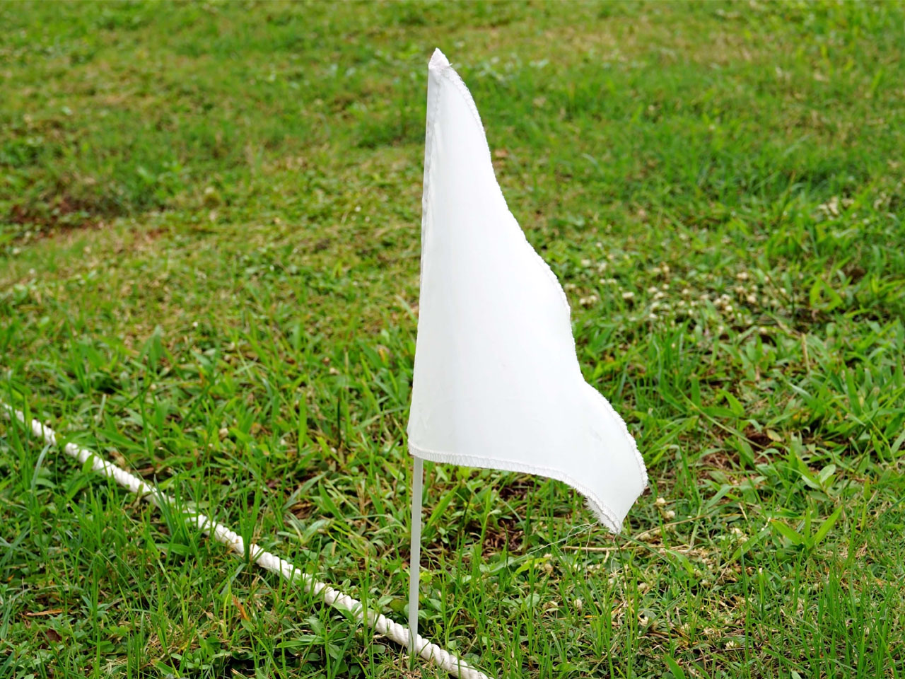 How to Play Capture the Flag: Rules and Setup Guide | The Nerdy