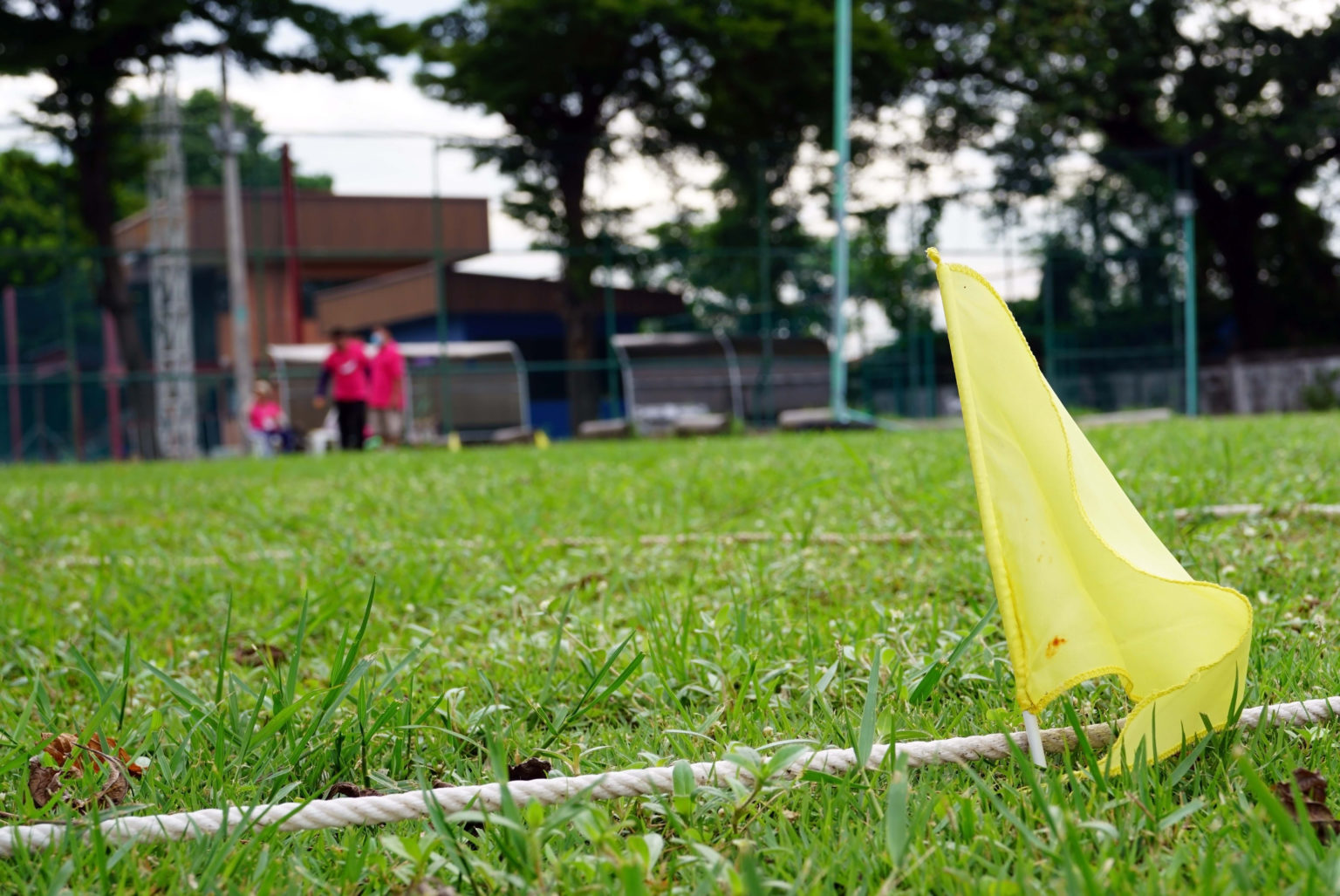 How to Play Capture the Flag: Rules and Setup Guide | The Nerdy
